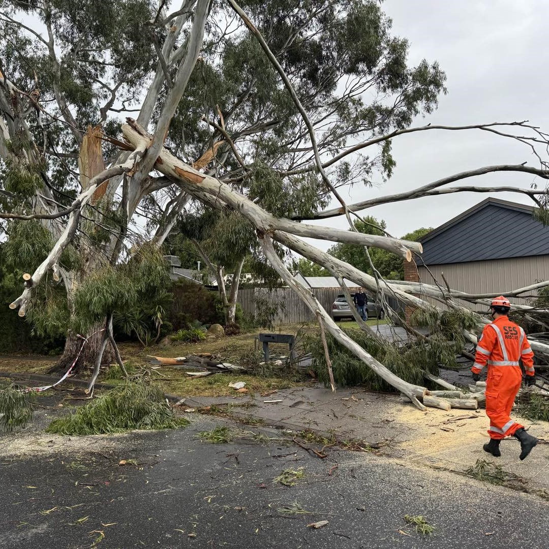 Latest news from VICSES - Victoria State Emergency Service - VICSES